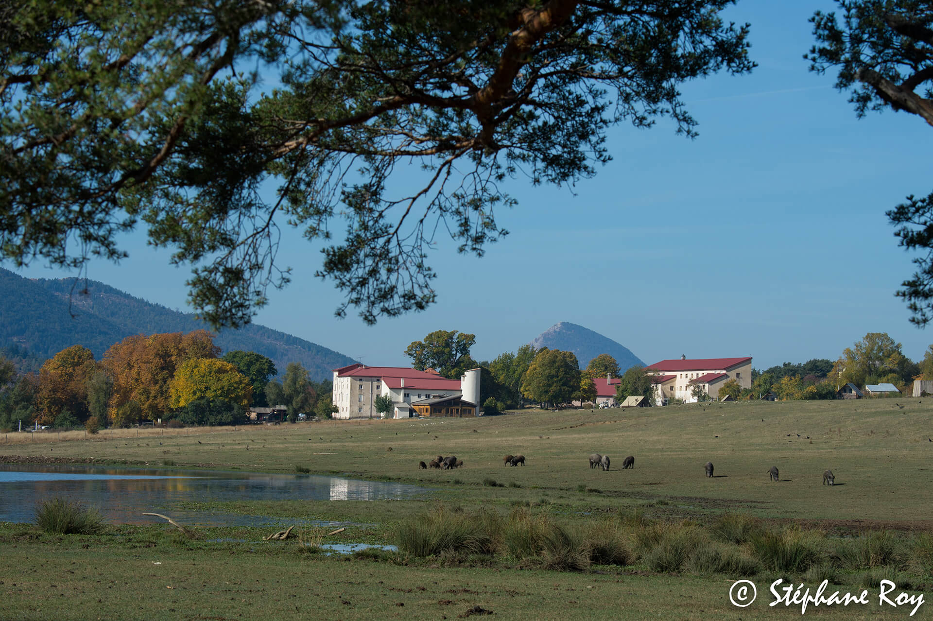 Attualità della Riserva dei Monts d'Azur - Haut-Thorenc