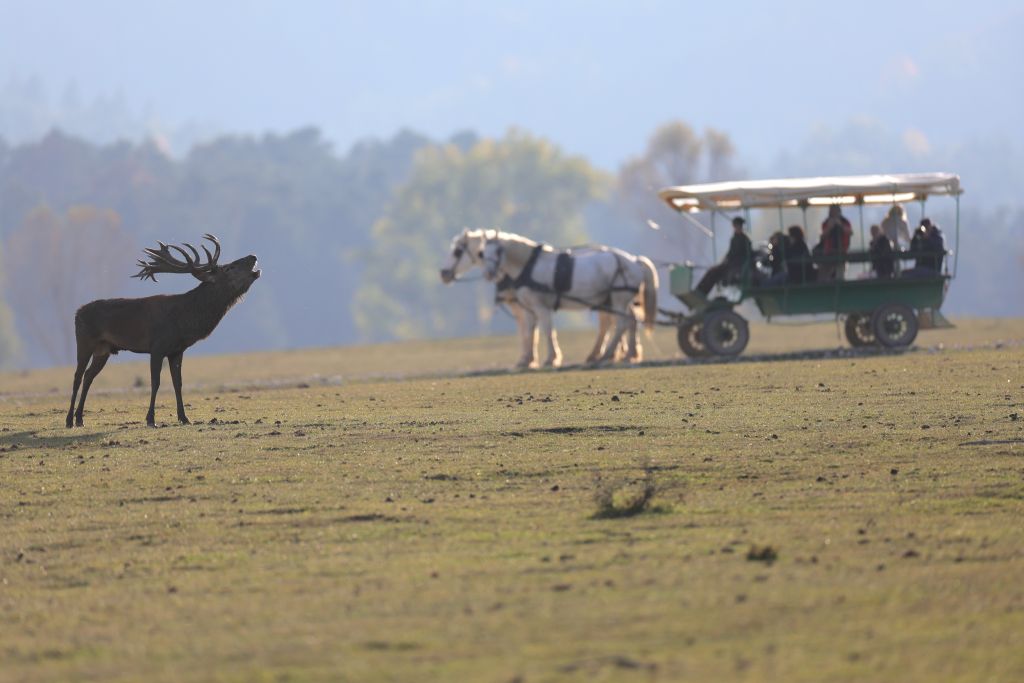 Nel cuore della natura - Riserva biologica del Monts d'Azur